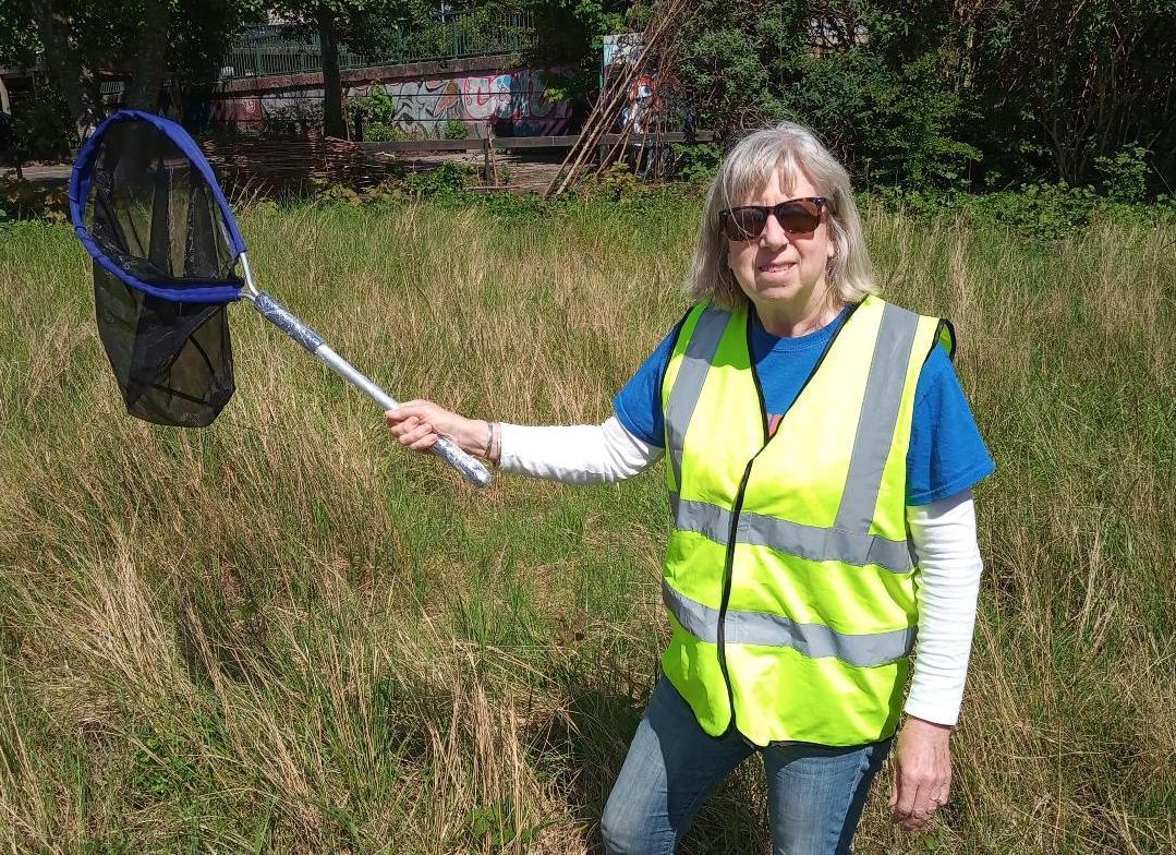 Butterfly Junction - Friends of the Avon New Cut (FrANC)